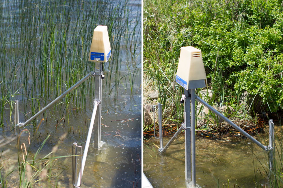 WeedRollerPRO® - WeedRoller