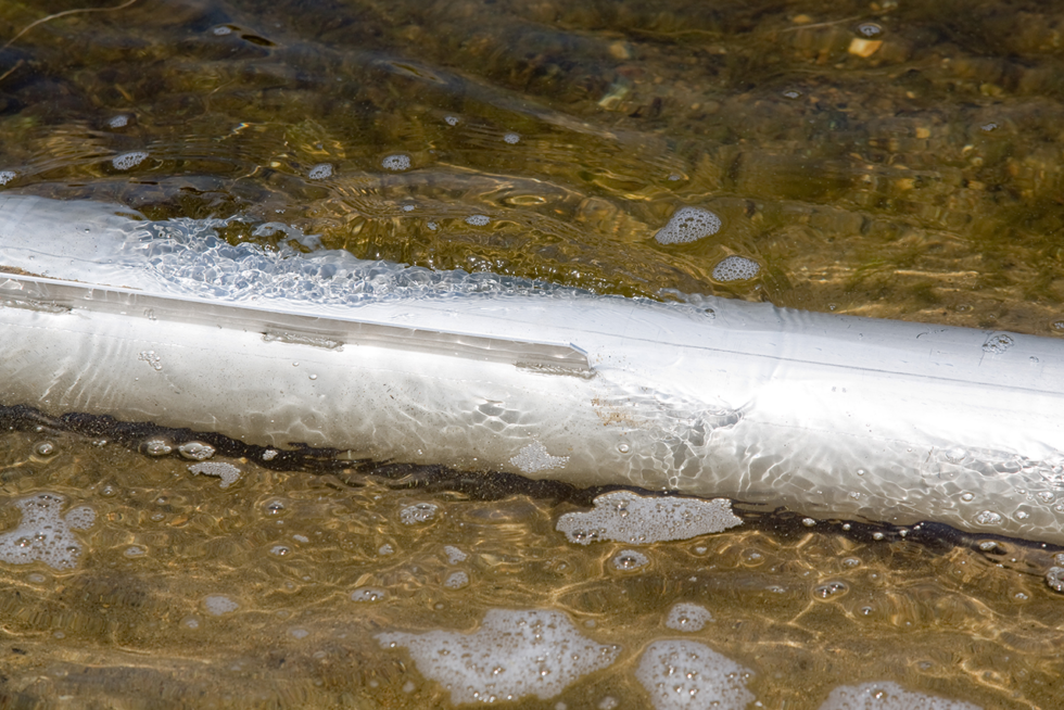 WeedRollerPRO® - WeedRoller